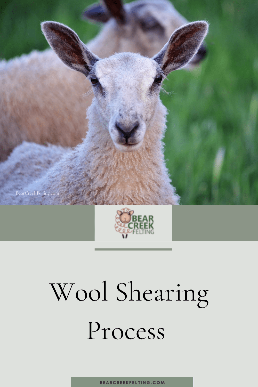 Wool Shearing Process - Bear Creek Felting